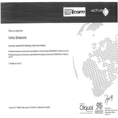 Sinkevich ICT L2 | PDF