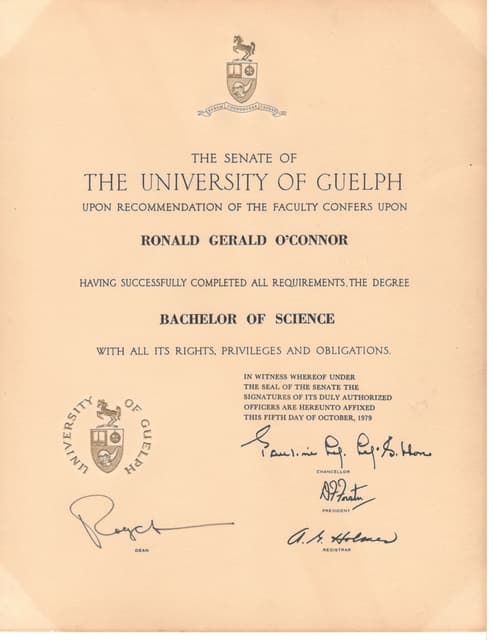 Jun's Reference letter by Konstantin | PDF