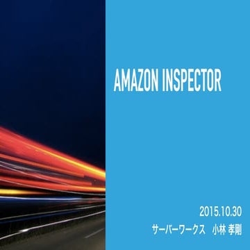 Amazon inspector | PDF