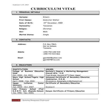 cv georgiana chitu eng | PDF