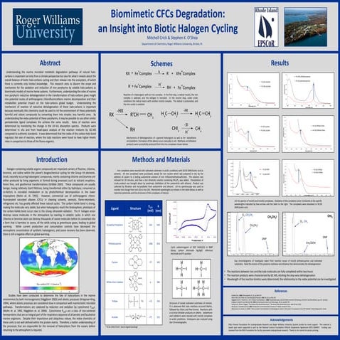 MCrick_ACS Poster | PPTX