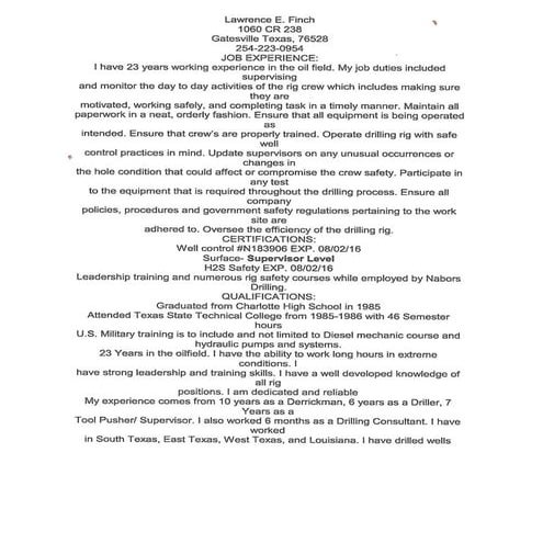 Larry's CV 15 PDF | PDF