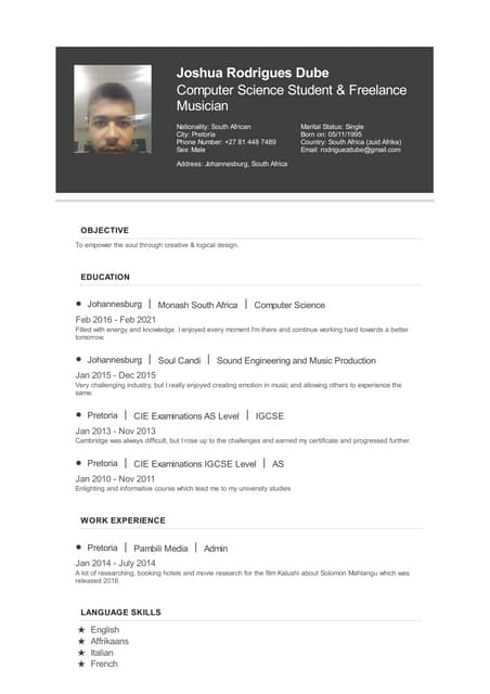 CurriculumVitae (1) | PDF