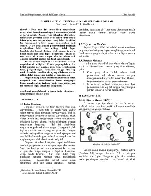 ppt Pengolahan citra digital pada modalitas MRI | PPTX