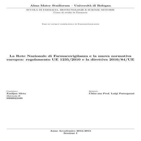 Abstract Tesi | PDF