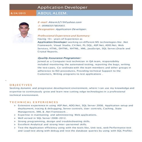 Application developer | DOCX