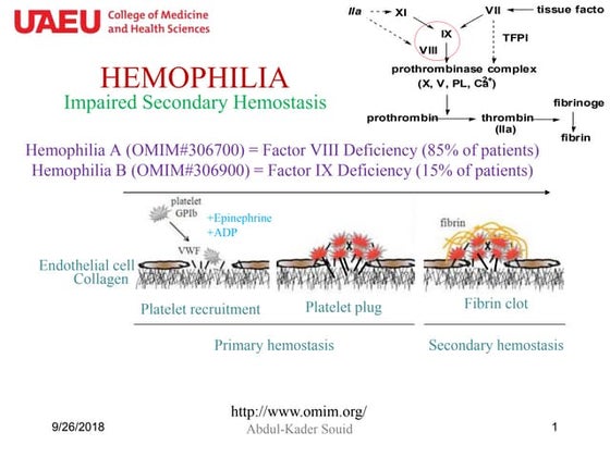 Hemophilia treatment | PPTX