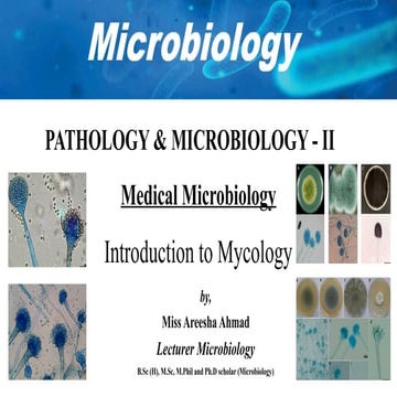 DPT - Microbiology II - Introduction to Mycology | PPTX