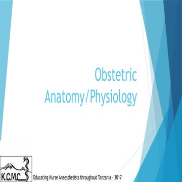 Obstetric, Anatomy and Physiology.pptx
