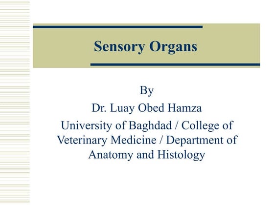 Human sense organs | PPT