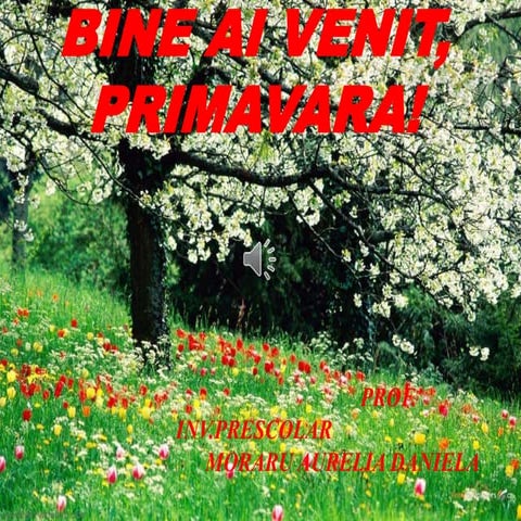 Florile primaverii | PPT