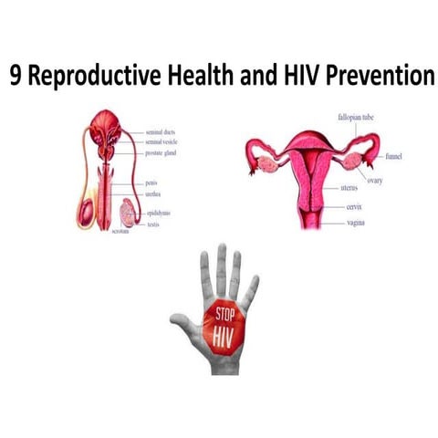 9 Reproductive Health and HIV Prevention.pptx | Reproductive Health ...