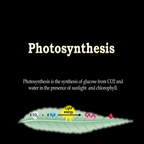 Photosynthesis | PPT