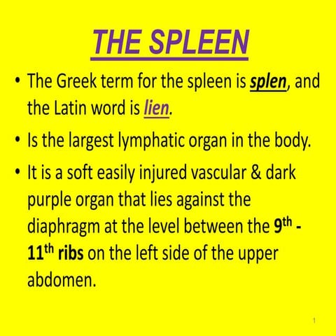 9 THE SPLEEN (1).pptx
