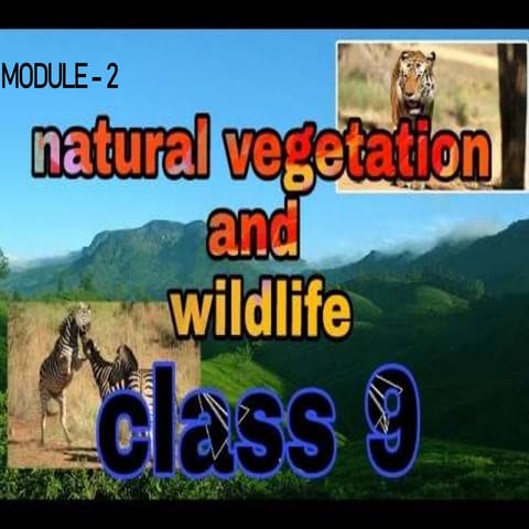 9th Geog Ch5 Natural Vegetation and Wildlife PPT-2.pptx