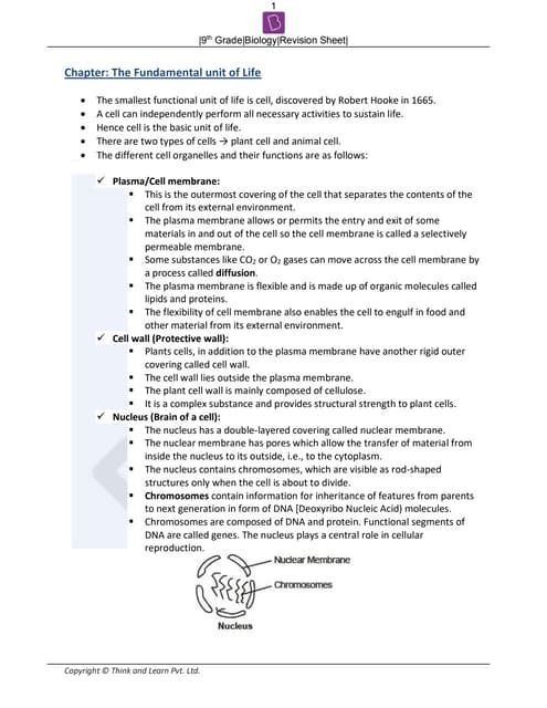Biology (cells) grade 7 | PPTX