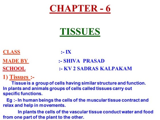 Class 9 tissue chapter 6 | PPT