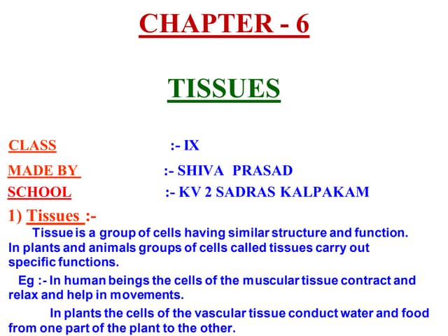 Class 9 tissue chapter 6 | PPT