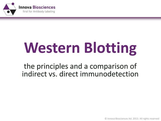 Custom Projects and Profiling Solutions | PPT