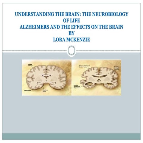 Understanding the Brain : The Neurobiology of Everyday Life Final ...