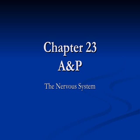 A&P Chapter 23 Nervous System | PPT