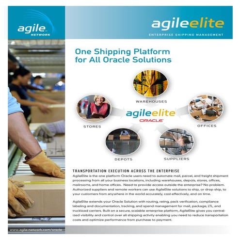 Agile Elite Oracle Brief Pdf