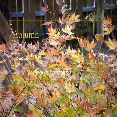 Autumn | PPT