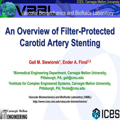 An Overview of Filter-Protected Carotid Artery Stenting | PDF
