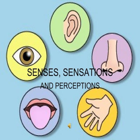 psychology - senses and sensations | PPT