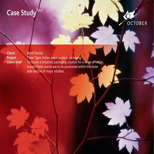 Case Study4 Indian Snacks | PDF