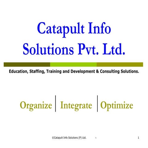 Company Profile - Catapult Info Solutions | PPT