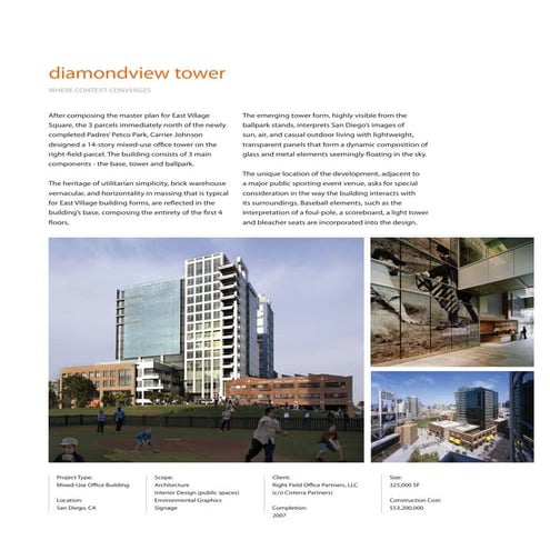 DVT Project Brief | PDF