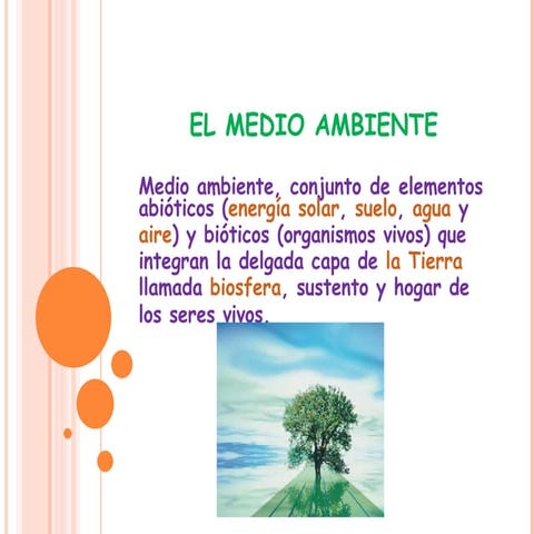 Medio ambiente | PPTX