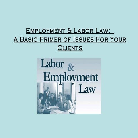 Labor & Employment Law: A primer for your clients | PPT