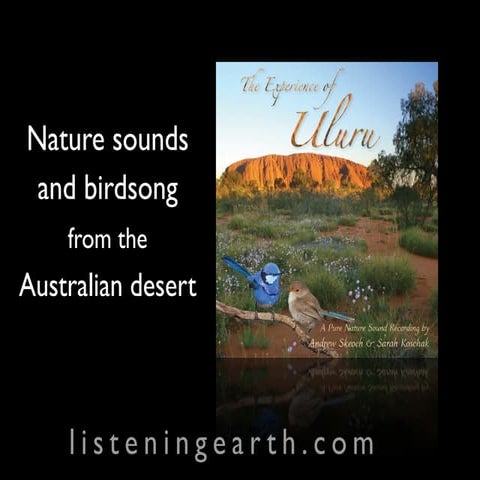Experience Of Uluru | PDF