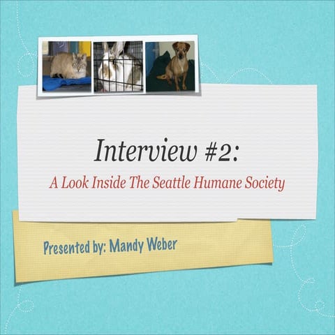 Interview2: Seattle Humane Society | PPT