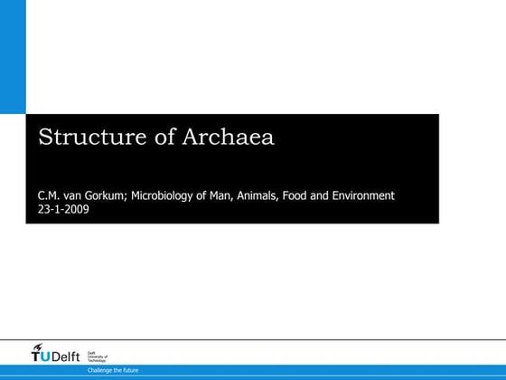 Archaea Bacteria (Methanogens, Halophiles, Thermophiles) | PDF