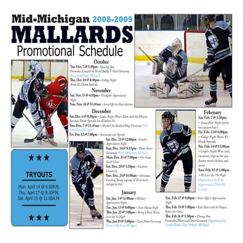 Promotional Schedule | PDF