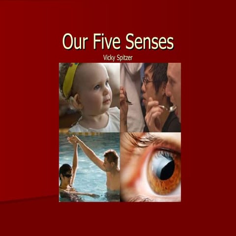 The Importance of Our Five Senses | PPT