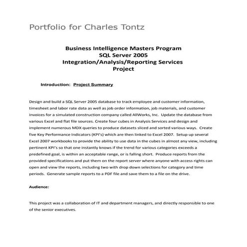 Business Intelligence Portfolio | PPTX