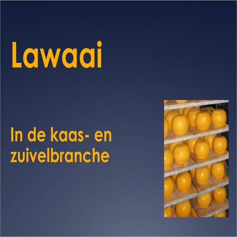 Lawaai op het werk | PPT