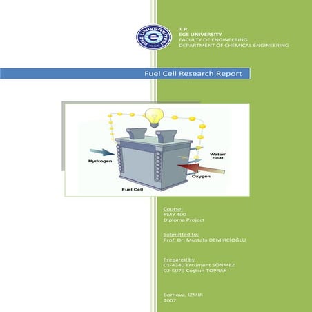 Research Report - Fuel Cell | PDF