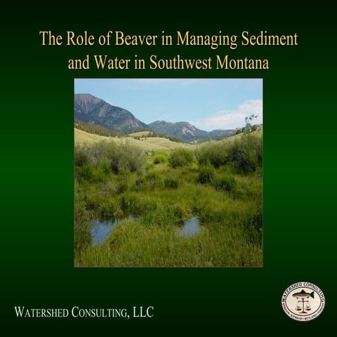 The Role of Beaver in Southwest Montana | PPT