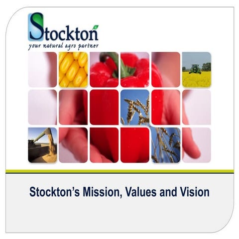 Stocktons Mission Statement, Values And Vision | PPT