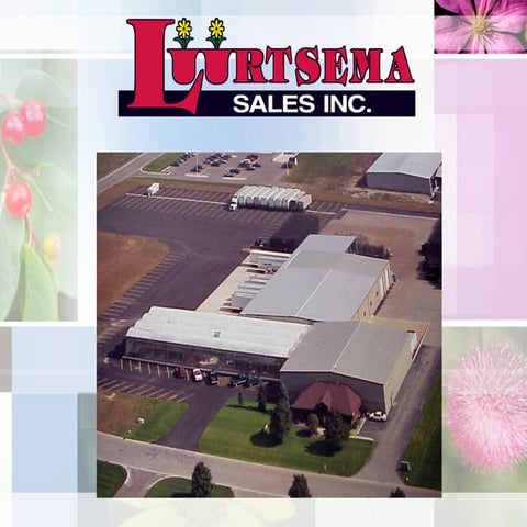 Luurtsema Sales Introduction | PPT