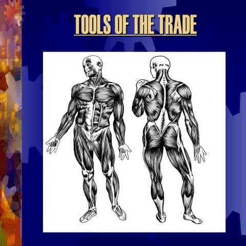 Tools Of The Trade | PPT