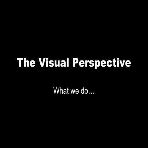The Visual Perspective...a brief introduction to what we do! | PPT