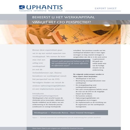 Ufs Expert Sheet Werkkkapitaal Management | PDF
