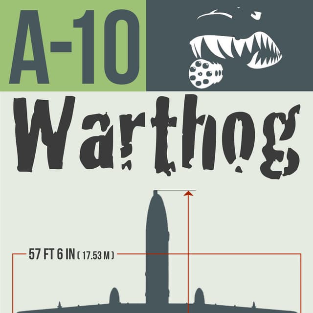Facts About the A-10 Warthog Infographic | PDF