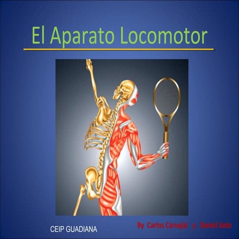 Aparato locomotor | DOCX